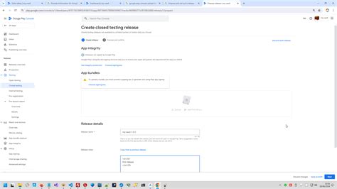 Viacheslav Eremin Google Console Workflow