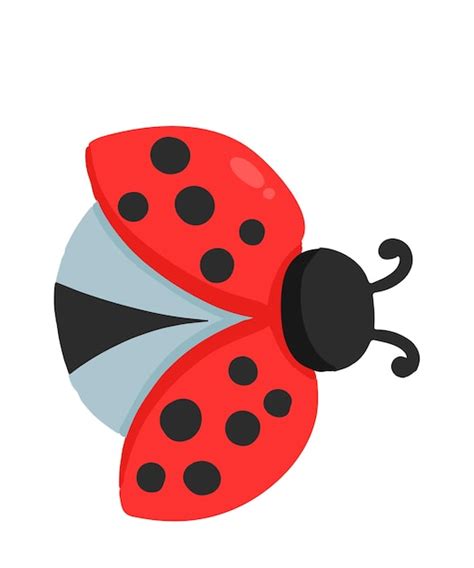 Premium Vector A Black And Red Ladybug