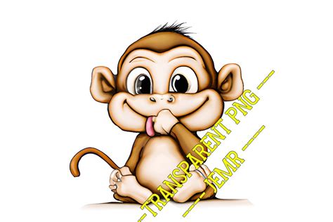MONKEY TRANSPARENT PNG 7 Graphic By Jemr Creative Fabrica