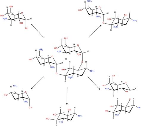 Structure Formula Of Tobramycin And Hydrolysis Products From Top Left