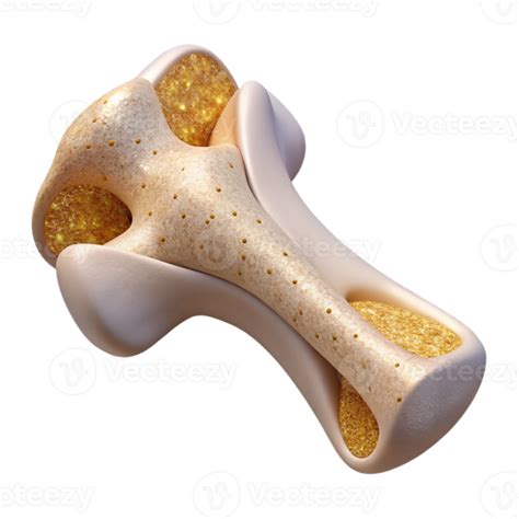 Beautiful Creative Bone Tissue Structure Isolated Orthopedics Design