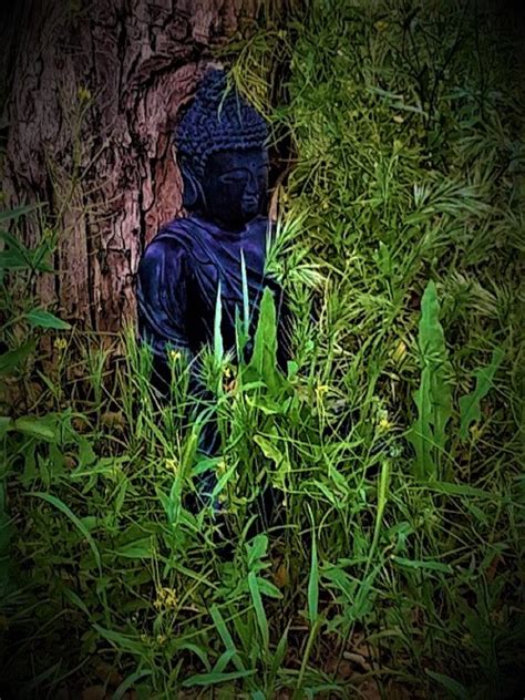 Moments The Daily Cuppa Medium