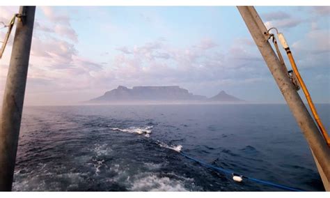 Using Machine Learning To Derive Benthic Habitat Maps Hydro International