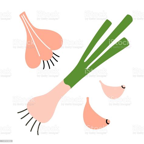 마늘과 양파 아이콘 요리에 대 한 야채와 향신료의 벡터 일러스트 레이 션 건강 한 농장 음식 샬롯의 낙서 예술 건강한 생활방식에 대한 스톡 벡터 아트 및 기타 이미지