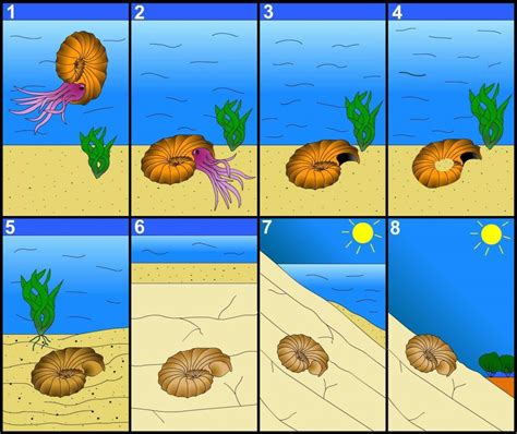 Flaming Cliff La Réserve De Dinosaures Lesprit Sorcier