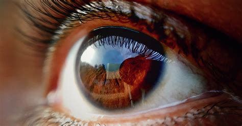 Saliency Modeling Vs Eye Tracking Technology Gazepoint