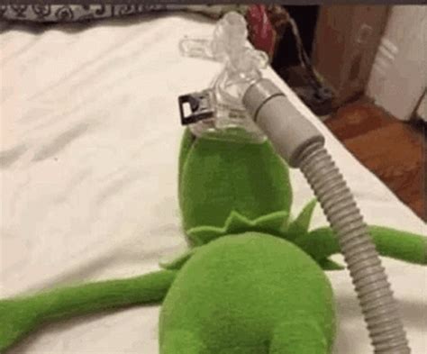 Kermit The Frog Dying Meme 