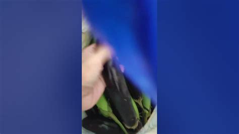 Talong Kadaming Talong Shorts Foodlover Vlog Beautiful Yummy Enjoy Youtubeshorts Viral