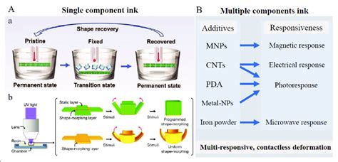 design of printing ink in 4d structures a 4d scaffolds made by
