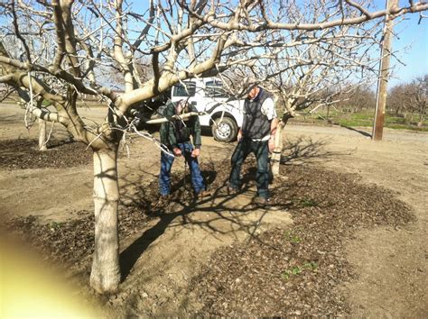 Soil Health And Changing Soil Compaction