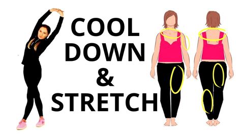 Cool Down Exercises After Workout At Home Cool Down Stretch Exercise