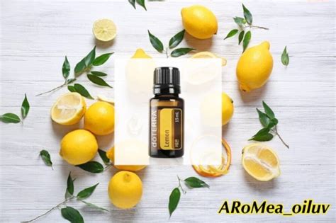 디톡스 식용 레몬오일 레몬 에센셜오일의 효능 사용방법 네이버 블로그