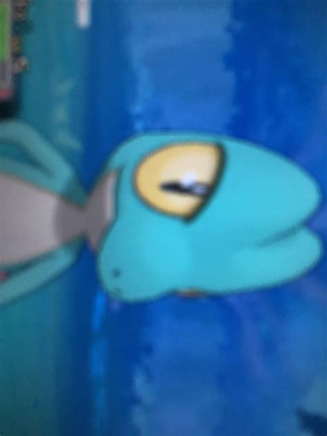 [6] Found A Shiny Treecko After 4 Days Of Sring Shinypokemon