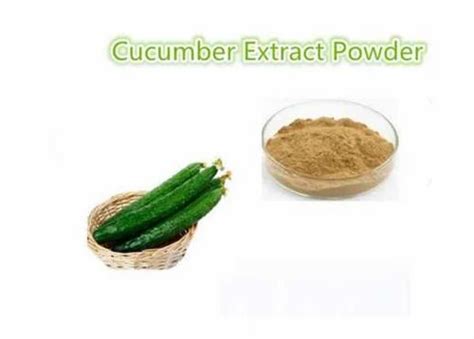 Cucumber Extract Powder At ₹ 650 Kg Laxmi Nagar New Delhi Id 2855718423030