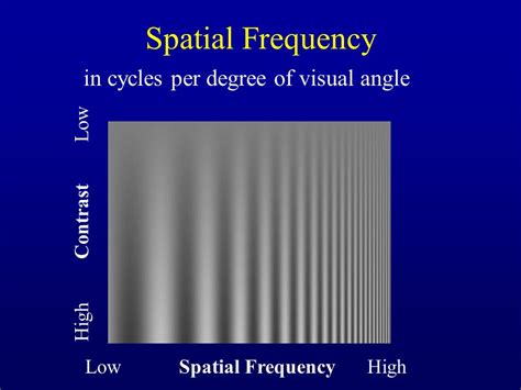 Ψ Sensation And Perception Ppt Video Online Download Ψ Sensation And Perception Ppt Video Online Download