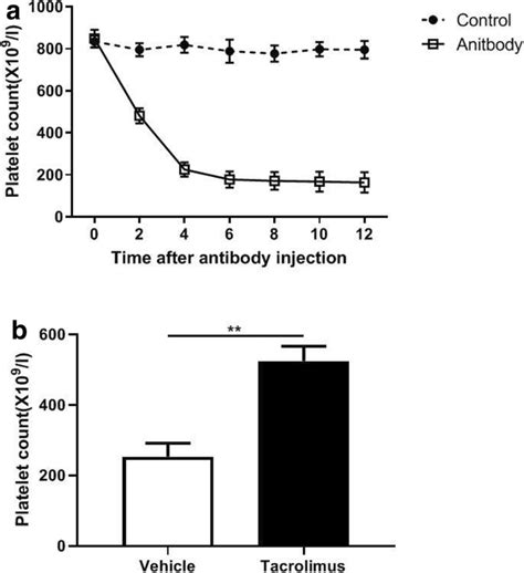 Platelet Count In The Itp Mouse Model In The Presence Or Absence Of Download Scientific Diagram
