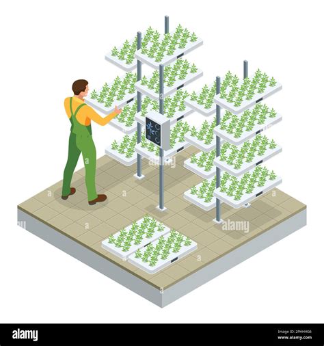 Isometric Modern Smart Industrial Greenhouse Artificial Intelligence Robots In Agricultural