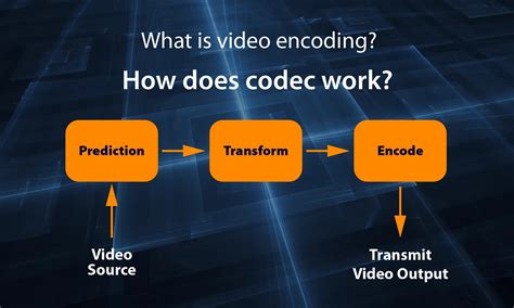 a beginner s guide to understanding video codecs for better video
