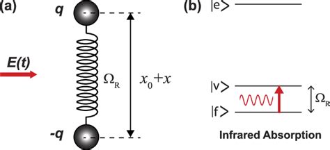 Infrared Ir Absorption A Classical View Of A Diatomic Molecule