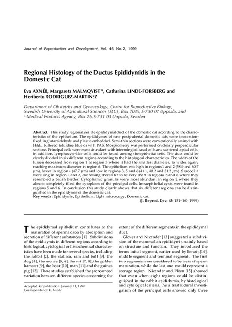 Pdf Regional Histology Of The Ductus Epididymidis In The Domestic Cat
