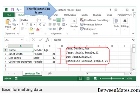 Excel I CSV PROTOKOLA I FORMATA 2025