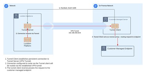 Configuring A Proxy Server Lucidum