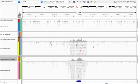 Chip Seq 分析笔记samhuairen的博客 Csdn博客 Chip Seq 分析笔记samhuairen的博客 Csdn博客