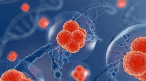 Premium Photo 3d Rendering Cell Division Process