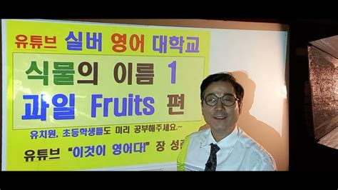 🍎식물의 이름 1편 과일 Fruits편 사과 파인애플 바나나 밤 포도 멜론 수박 참외 유자 토마토 귤 배 복숭아 호두 땅콩 잣 대추 감 석류