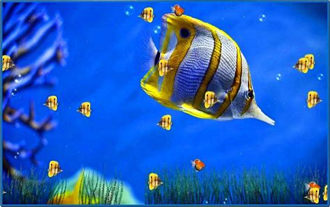 Moving Animated Screensavers