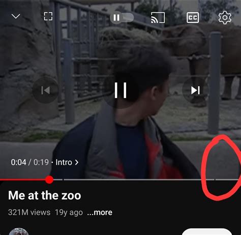 Fullscreen Button Not Showing Ryoutube