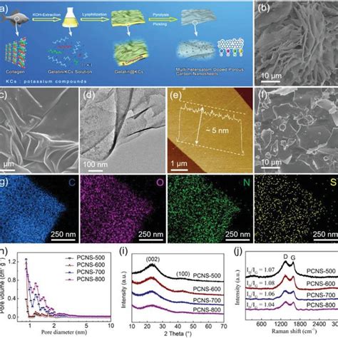 A Schematic Illustration Of The Synthetic Process For The Np‐hpc Download Scientific Diagram
