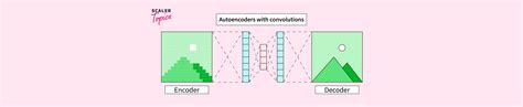 Autoencoders With Convolutions Scaler Topics