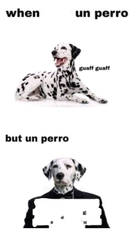 Perro Meme By Mrmemasosxd Memedroid