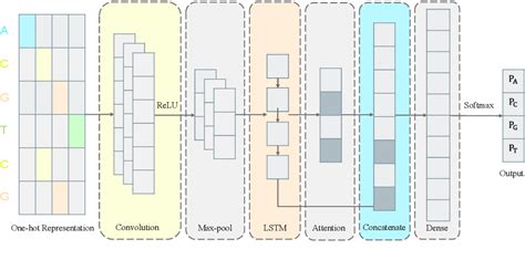 Figure 1 From Deep Learning Based Non Binary Polar Codes For Compressing Mitochondrial Genomes