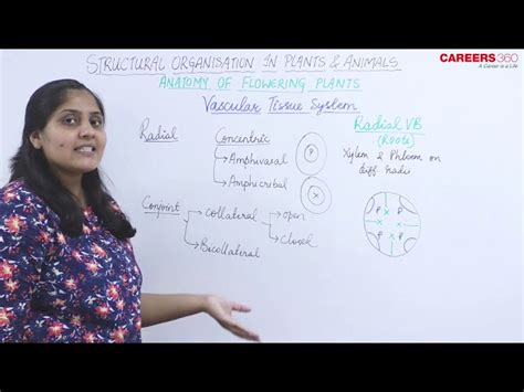 Vascular Tissue System Mcq Practice Questions And Answers