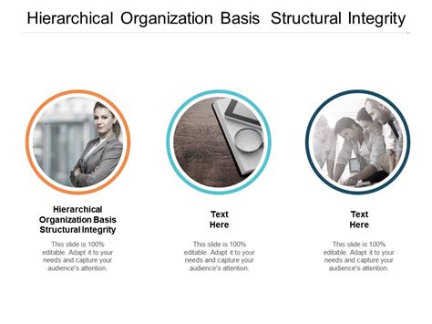 Hierarchical Organization Basis Structural Integrity Ppt Powerpoint