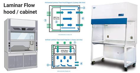 Laminar Flow Biological Safety Cabinet