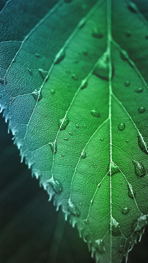 Infinix Hd Android Wallpapers Wallpaper Cave