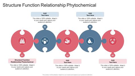 Structure Function Relationship Phytochemical Ppt Template Acp Ppt Template