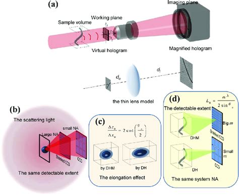 A The Optical Setup Of The Digital Holographic Microscope B The