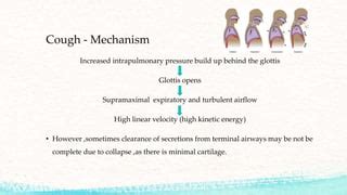 Airway Clearance PPTX