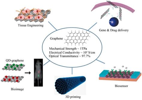 Sensors Free Full Text Recent Advancements In Graphene Based Implantable Electrodes For