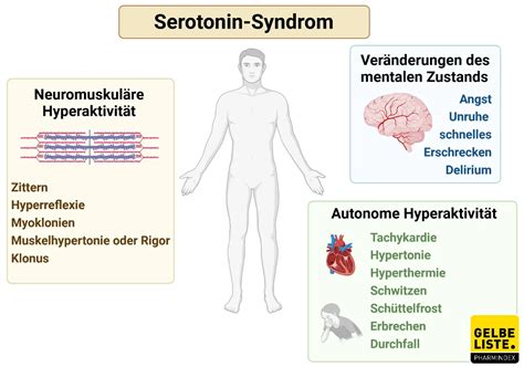 Gehirn Mit Serotonin Syndrom