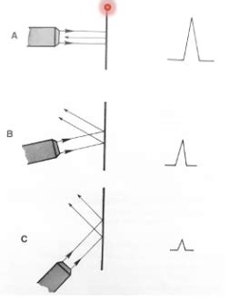 A Scan Flashcards Quizlet