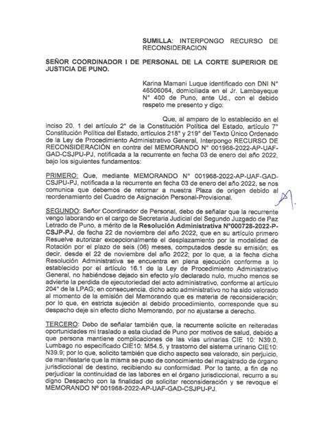 Recurso De Reconsideracion Pdf