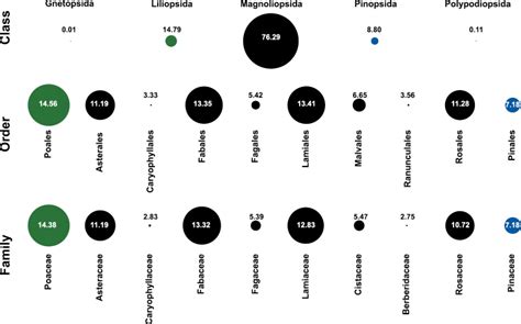 Taxonomic Coverage The Figure Shows The Taxonomic Coverage For Class