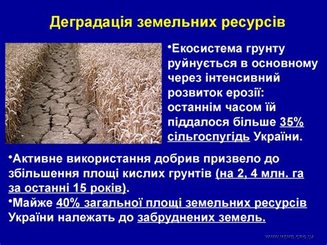 Екологічні проблеми України презентация онлайн