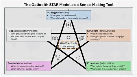 The Star Model Reframed Orgdesign With Complexity In Mind
