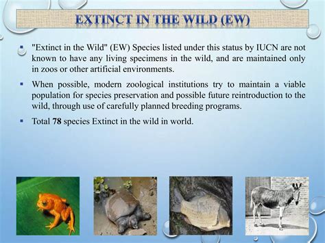 Iucn Pptx